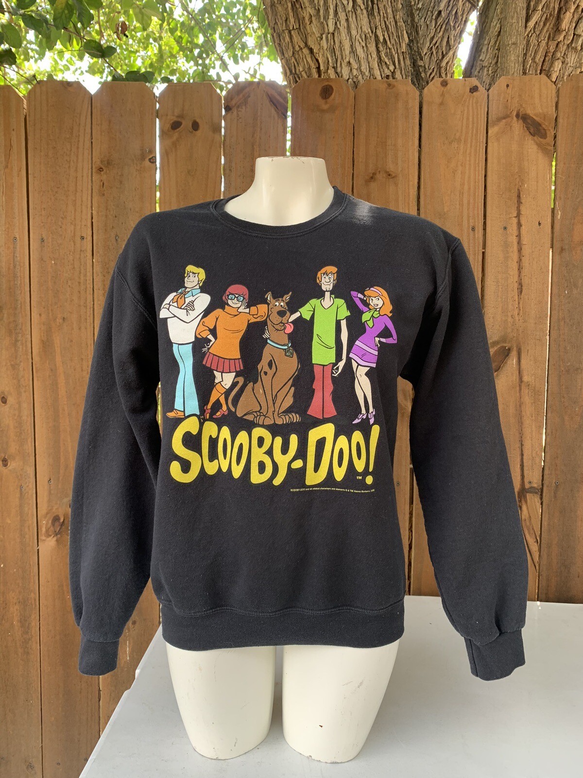 Retro Scooby-doo & Friends Unisex Sweatshirt Size Sma… - Gem