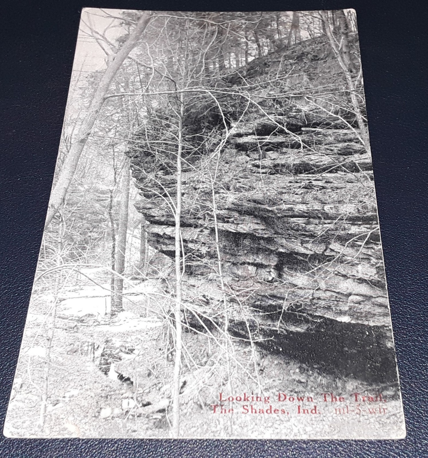 The Shades, Indiana Postcard - Looking Down the Trail | eBay