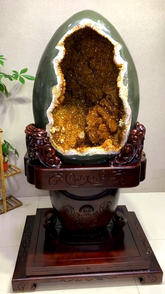 1102lb Natural High grade citrine Crystal Church Cathedral Geode ...