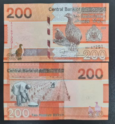 2019 Gambia 200 Dalasis BANKNOTE CURRENCY UNC | eBay