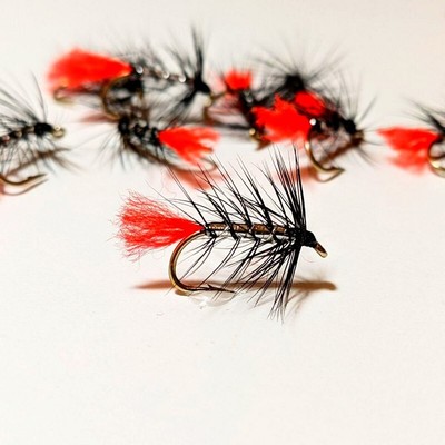 5 pcs Wet fly Black Zulu Silver, hook #12 - For Trout and Grayling | eBay