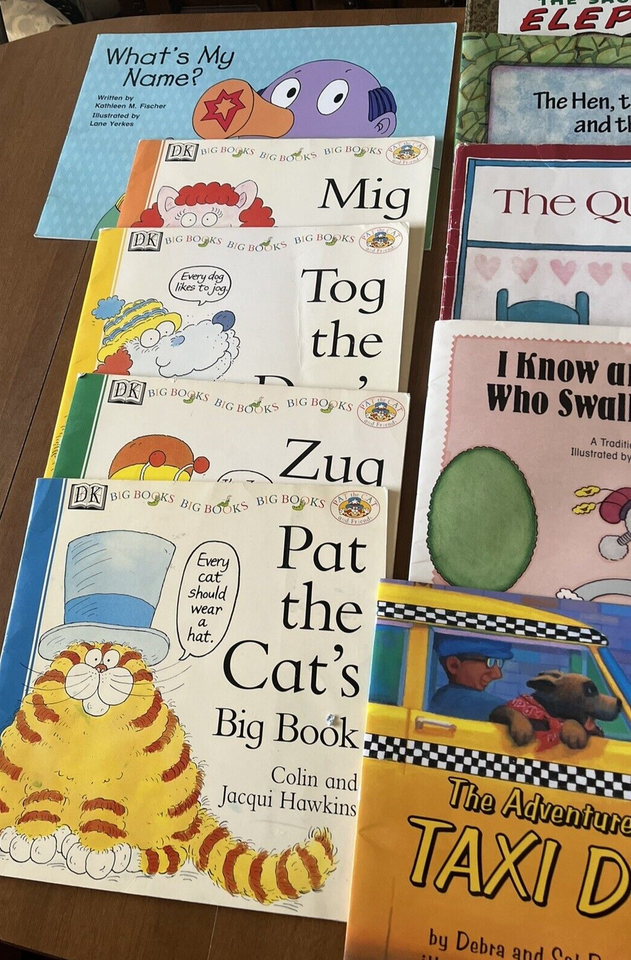 Lot of 14 Big Books Shared Reading Teacher Class Large DK & Other Pat ...