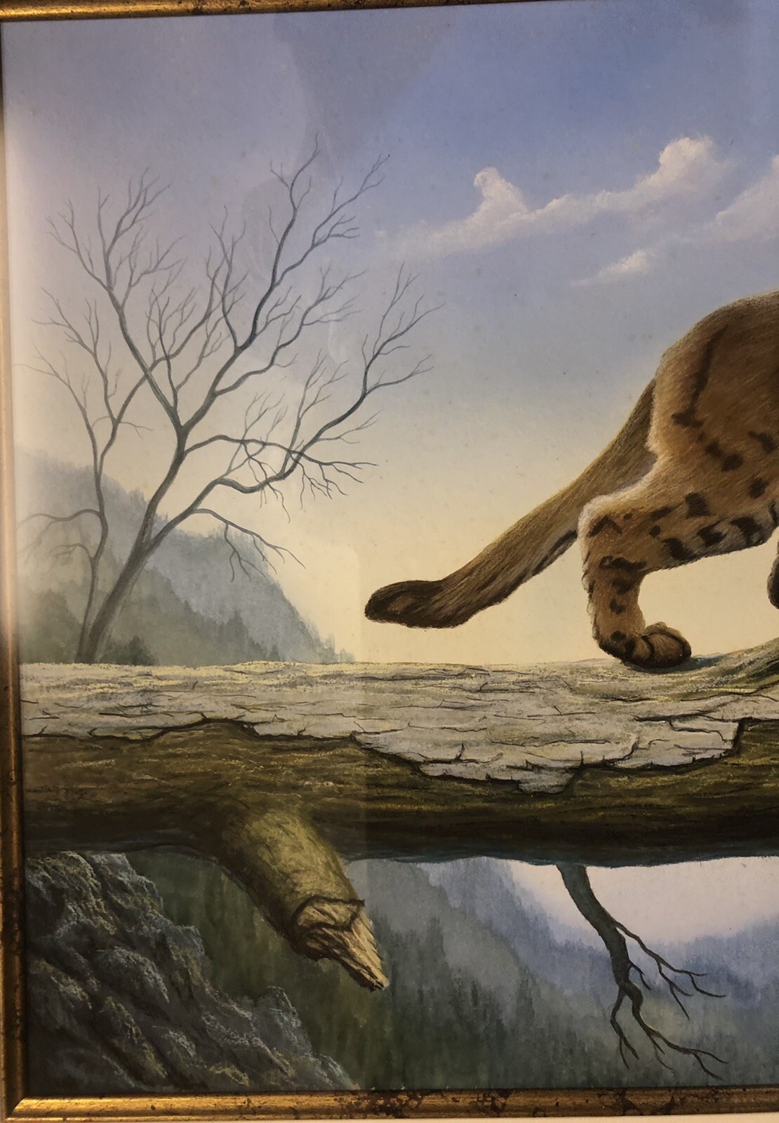 Peter JEPSON, original watercolour/pastel painting - Big Wild Cat | eBay UK