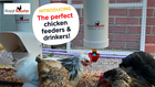 ROYAL ROOSTER Chicken / Poultry Coop - Single Waterer / Drinker with ...
