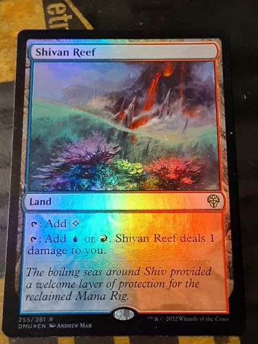 Shivan Reef FOIL , Dominaria United , Light play , MTG, FREE SHIPPING ...