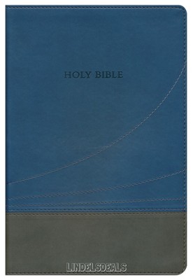 The Holy Bible King James Version KJV Thinline Slate & Blue, Large ...
