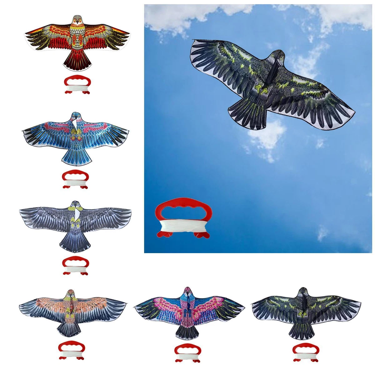 Differenza Tra Aquilone E Aquila
