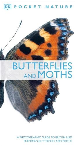 Butterflies and Moths (Paperback) Pocket Nature (UK IMPORT ...