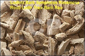Lodhra Bark Symplocos Racemosa Roxb Lodh Tree Bark Raw 100gm (3.5 OZ ...