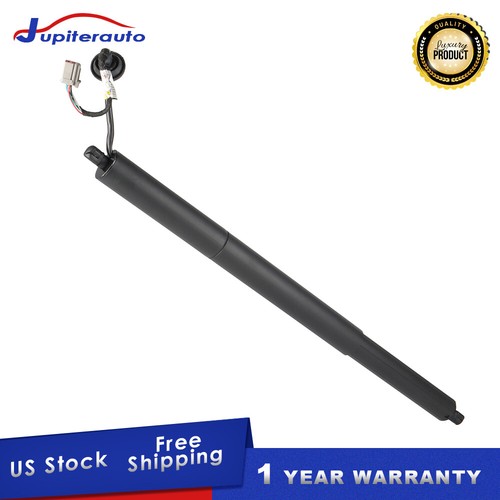 Rear Power Hatch Lift Support for 2015 Ford Explorer Police Interceptor ...