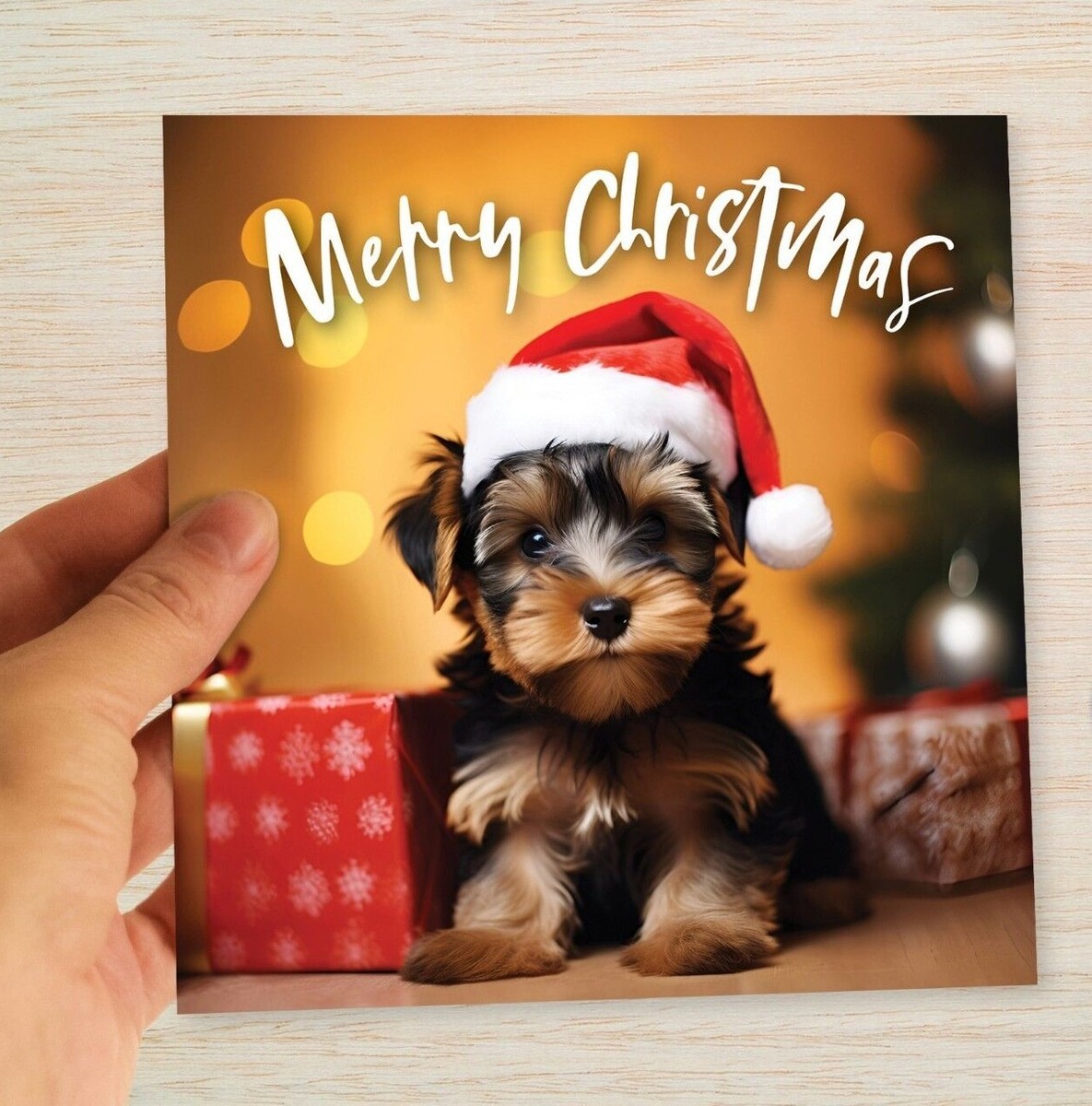 Schattige Yorkie Terriër