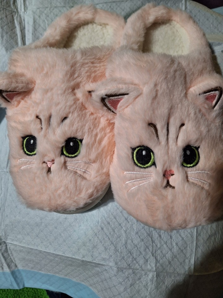 New Cute Pink Cat Slippers w/Green Eyes~Plush Lined~Slip on~Size 4-5 1/ ...