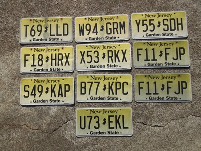 Bulk Lot of 10 New Jersey License Plate Plates Garden State GA - Lot ...