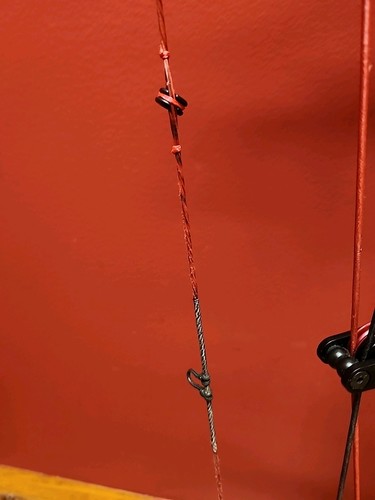 MATHEWS CREED Compound Bow RH 29/60 With Sight, Rest, Dampeners ...