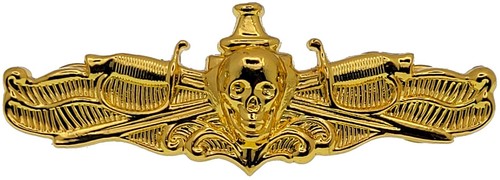 US Navy Surface Warfare Officer Skull Badge USN SWO Insignia Naval GOLD ...