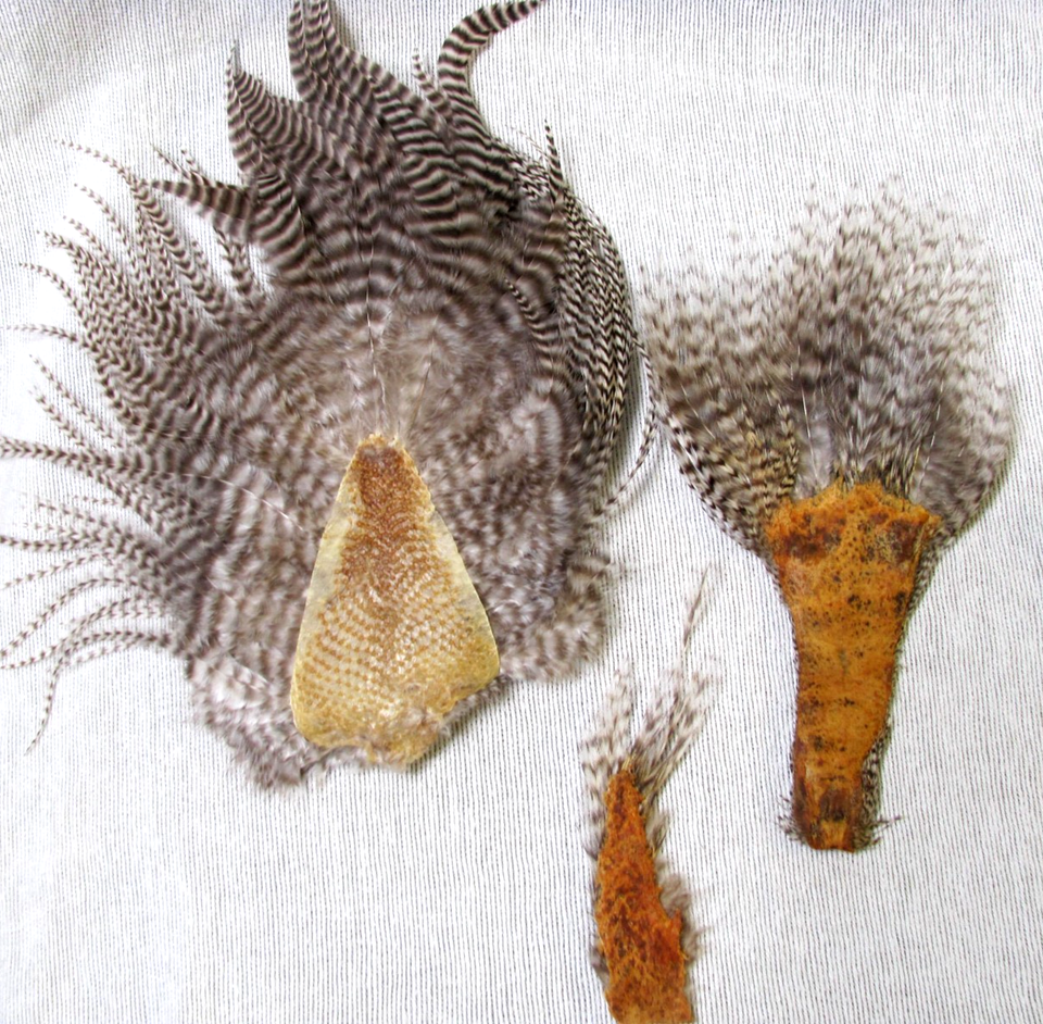 Grizzly? Dry Fly Hackle? Neck Cape? Rooster Fishing Feathers Trout ...