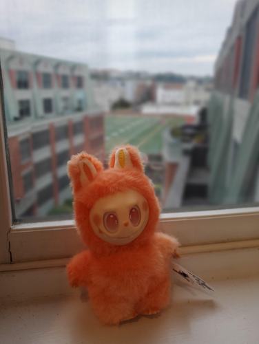 Labubu: Id rainbow | eBay