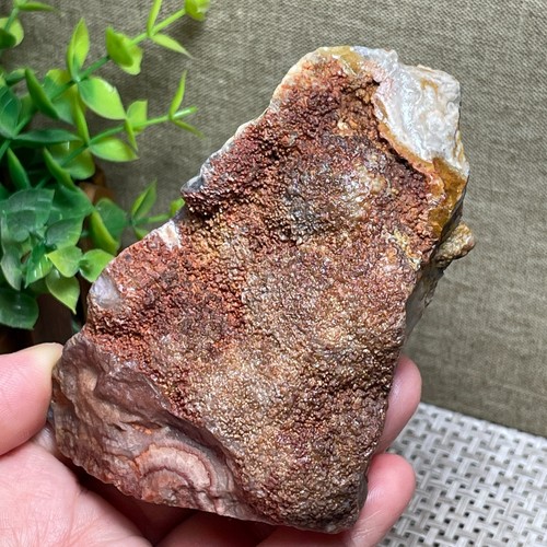 Rare Mexican Crazy Lace stone Raw rough rock original Specimen Mexico ...