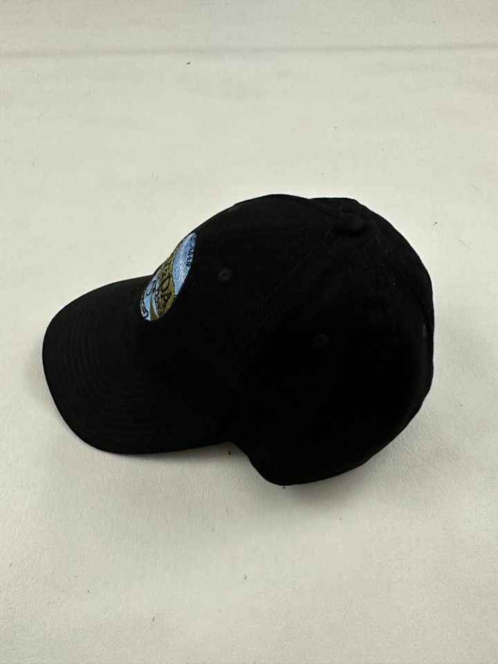 Nevada State Park 75th Anniversary Graphic Black Baseball Hat One Size ...