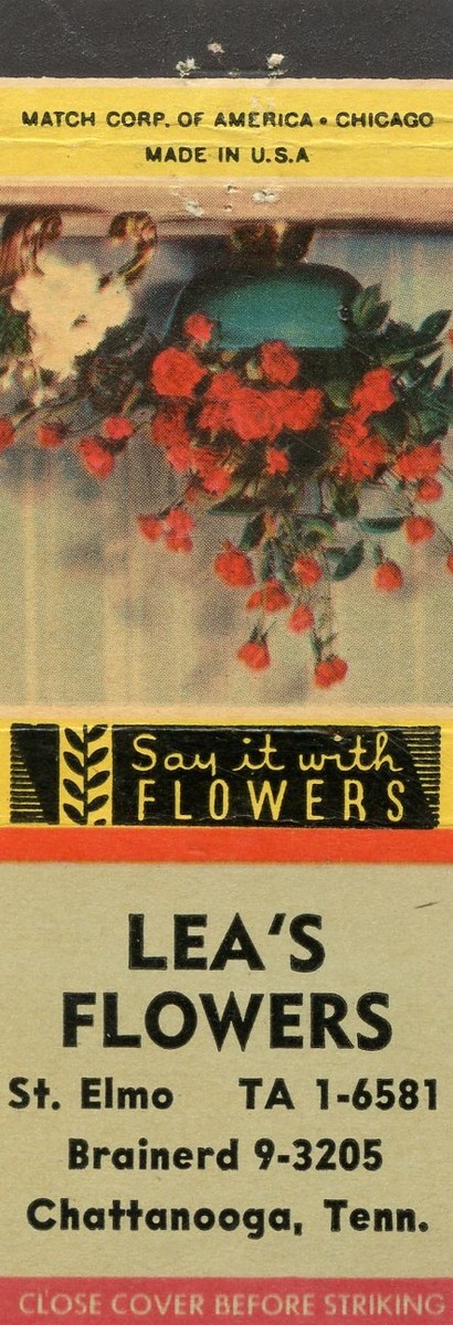 Flowers Chattanooga Tennessee | Best Flower Site