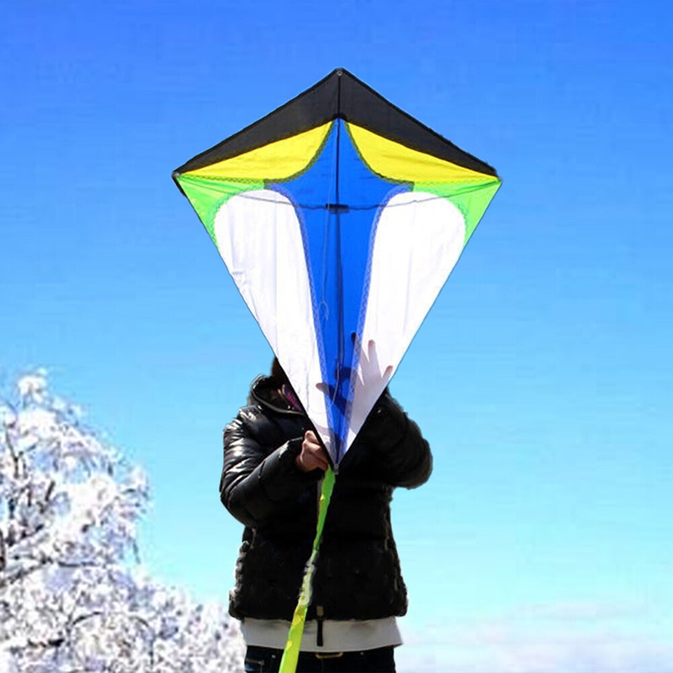 Single Line Kite with Long Tail Rainbow Kite Enhance Coordination for ...
