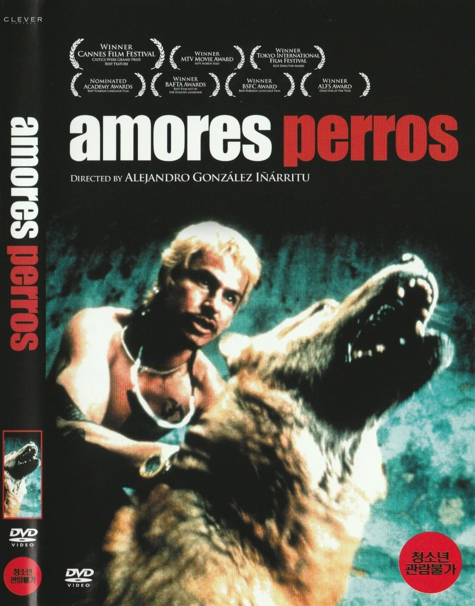 Amores Perros Dogs