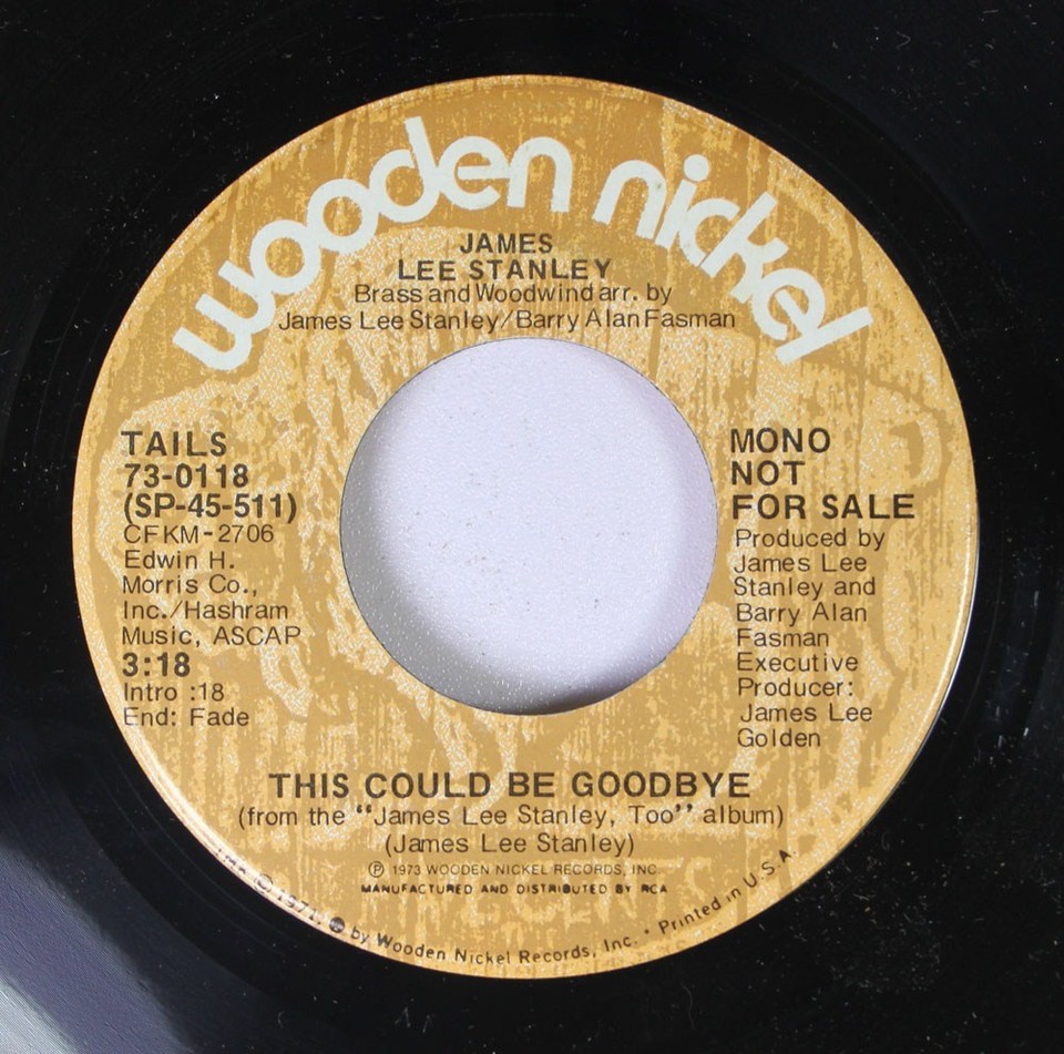 Rock Promo 45 James Lee Stanley - This Could Be Goodbye / This Could Be ...
