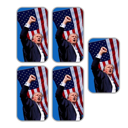 Lot of 5 - 1 Troy oz Sunshine Mint Trump Fight Colorized .999 Fine ...