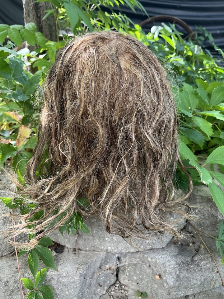 Rotted Detailed Female Corpse Life Size Head Prop Haunted Halloween ...