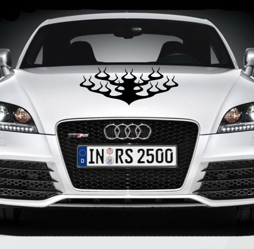Car Decals Hot fire Flames 21''x27'' for Caprice Trax Vinyl Hood ...