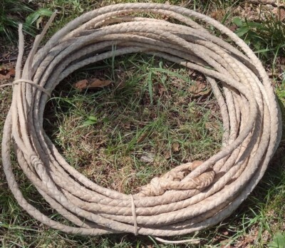 New Rawhide Rope (Lariat, Reata) Handmade in Sonora, Mexico; About 60 ...