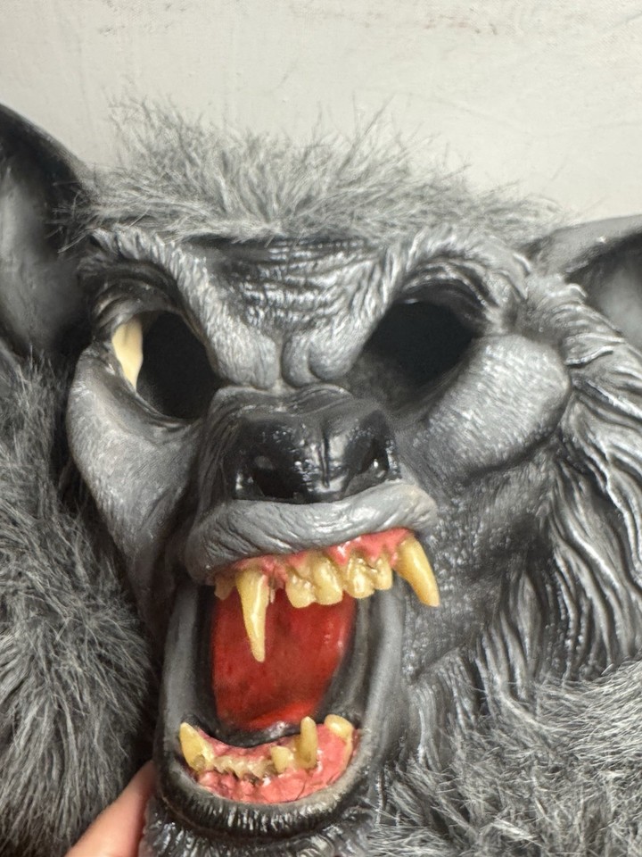 REALISTIC WEREWOLF / Rabid Wolf HALLOWEEN MASK ADULT GRAY Costume | eBay