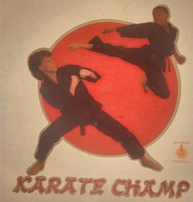 Karate Champ Logo Iron On Heat Transfer Colored 8"x9" | eBay