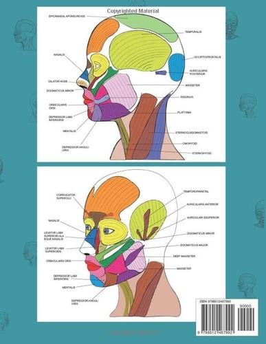 FACIAL ANATOMY: Colouring book | eBay