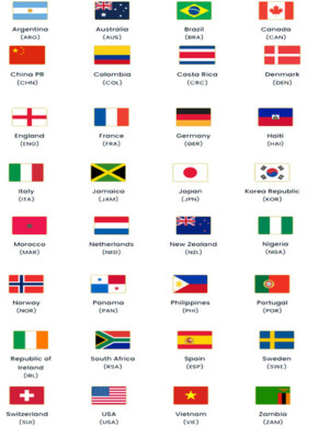 Women's World Cup Flag Pack Includes ALL 32 Countries Flags Fast ...