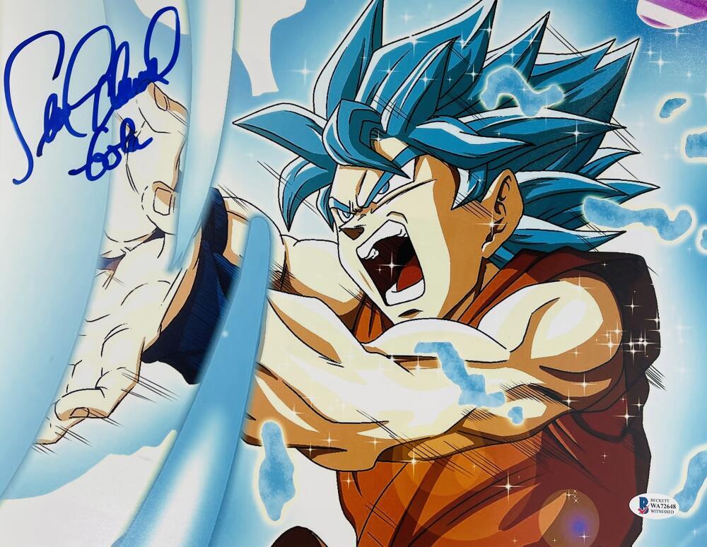 Sean Schemmel | Player
