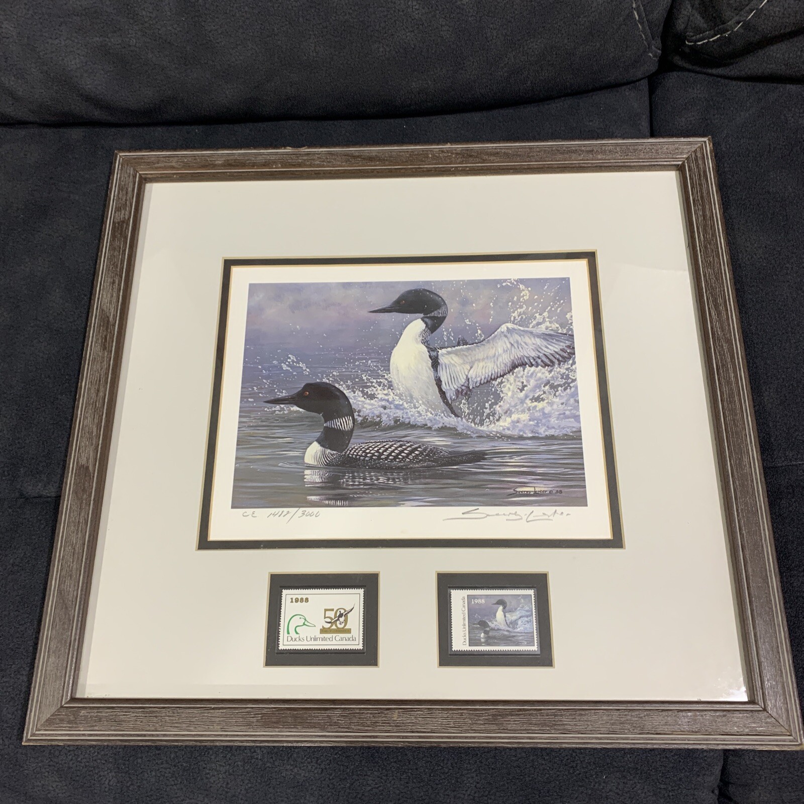 Seerey-Lester Morning Display Common Loons 1989 Ducks Unlimited Canada ...