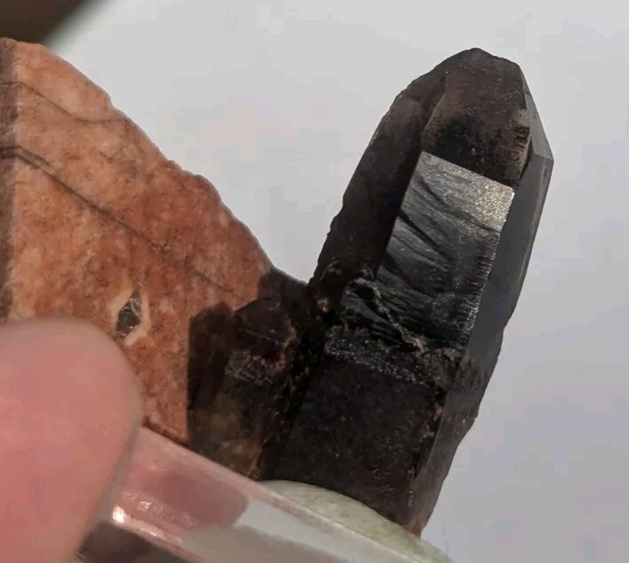 Smoky Quartz Crystals And Microline Crystal From The Dreamtime Claim In ...