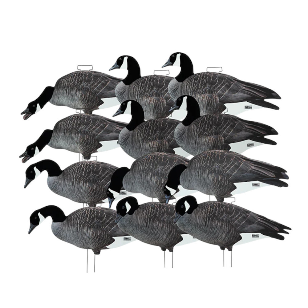 Avery Outdoors GHG FFD Pro Grade Canada Goose Silhouette Decoys | eBay