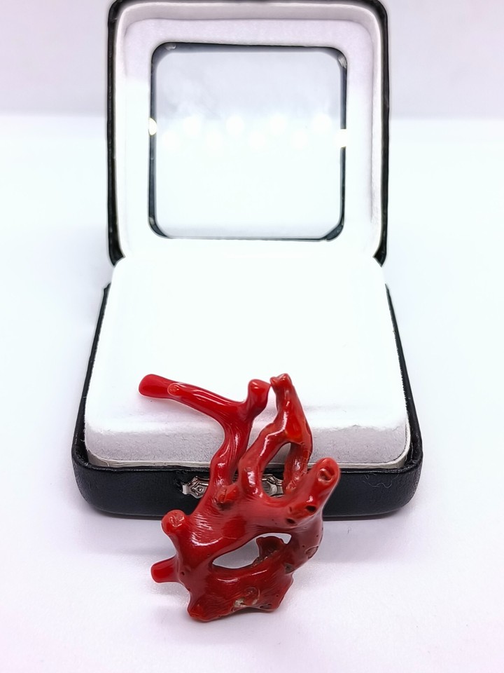 A1 Quality Red Coral Sea Loose Coral Rough Branch-100%Natural Red Coral ...