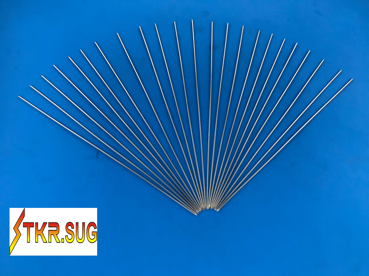 Steinmann Pins Veterinary Orthopedics 1.0mm 1.5mm 2.0mm 1mm 2mm 3mm 100 ...