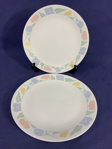 Set of 2 ~ 1971 CORELLE FRIENDSHIP Dinner 10.5" Plates GREEN BLUE PINK ...