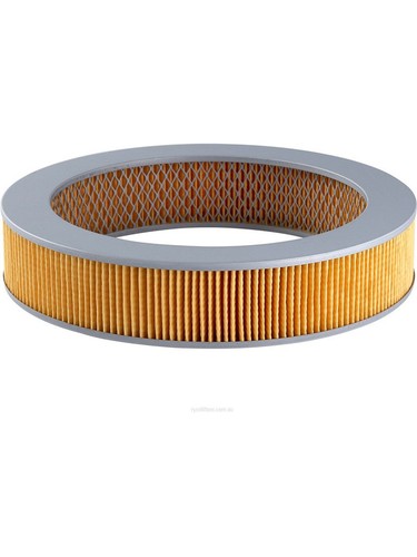 Ryco Air Filter fits Asia Motors Rocsta 1.8 AM102 i 4x4 (A216) | eBay ...