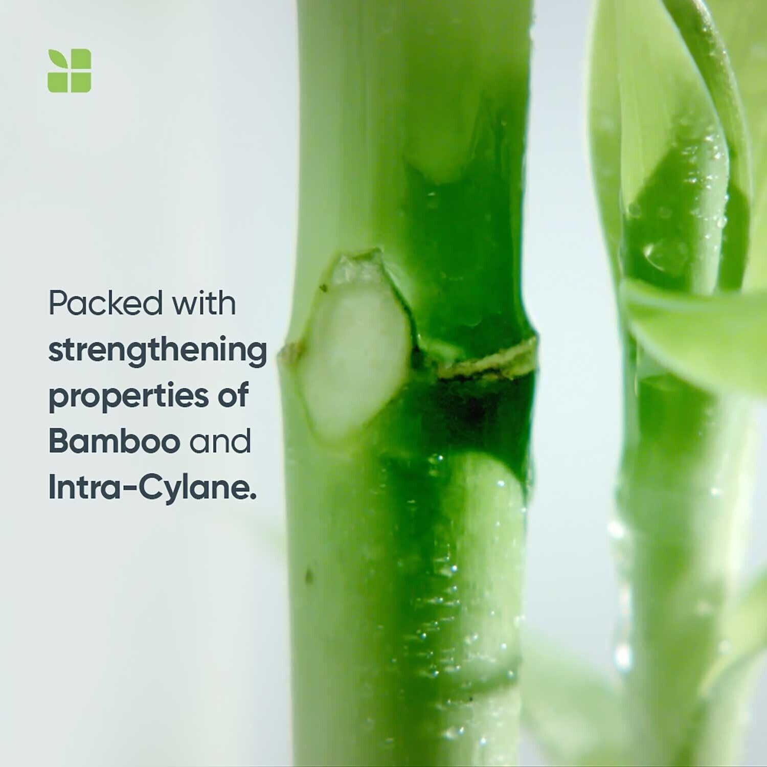 3X Biolage Fiberstrong Shampoo, Reinforces Hair Strength & Elasticity ...