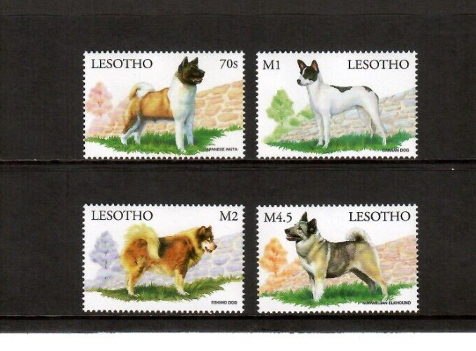 Lesotho 1999 - Dogs Pets - Set of 4 Stamps - Scott #1169-72 - MNH | eBay
