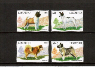 Lesotho 1999 - Dogs Pets - Set of 4 Stamps - Scott #1169-72 - MNH | eBay