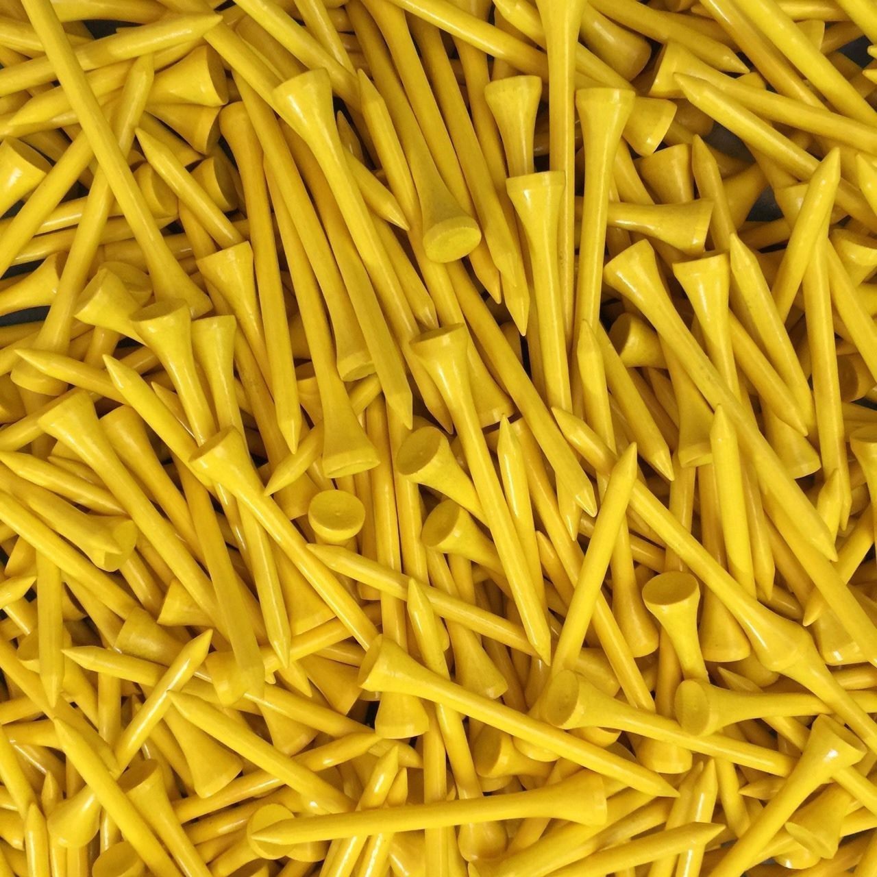 100 pcs Real Wooden Tees Yellow New Golf Natural Long Length Tee 2-3/4 ...