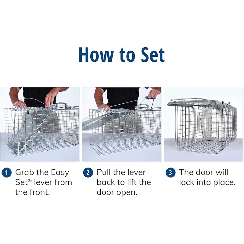 Large 1-Door Humane Live Animal Trap Easy Set Cats Raccoons Skunks ...