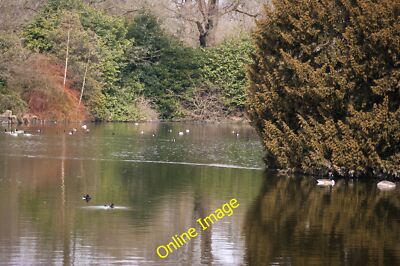 Photo 6x4 The lake at Dunham Massey Hall Dunham Town c2013 | eBay UK