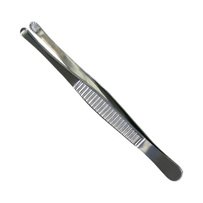 Russian Tissue Forceps, 6", Premium | eBay